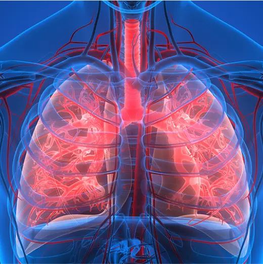 NextTech - RespiraFix